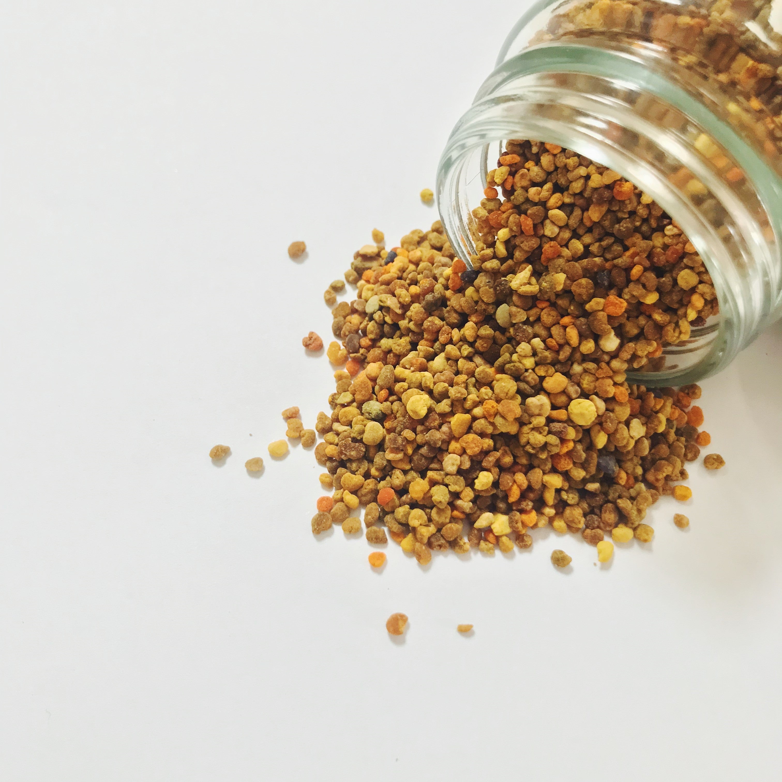 Bee Pollen for Dogs – Cronch Co