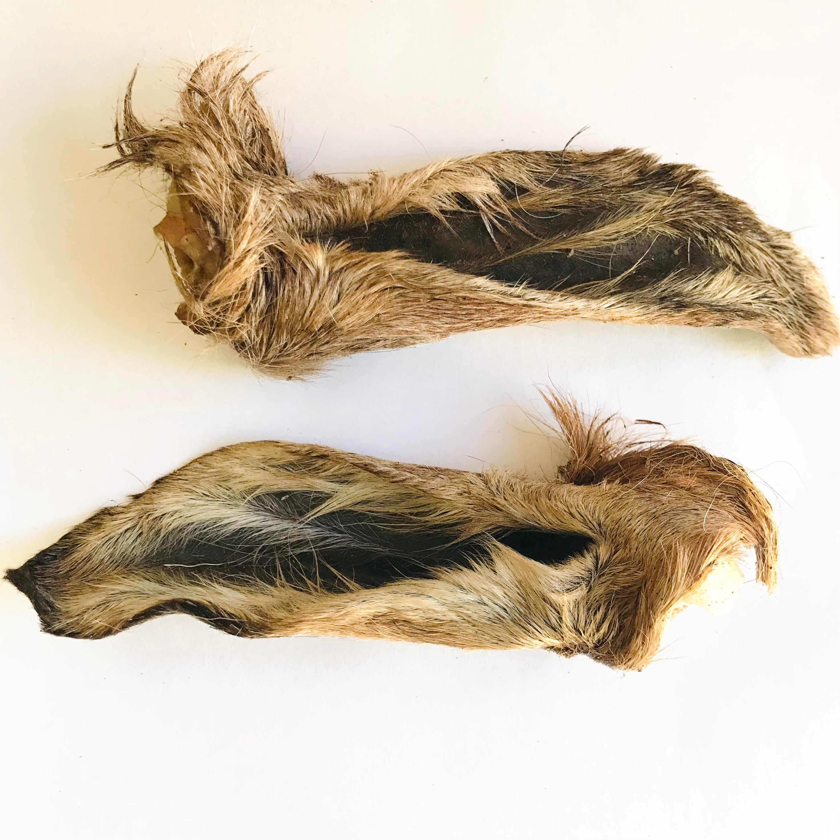 Full Fur Goat Ear – Cronch Co