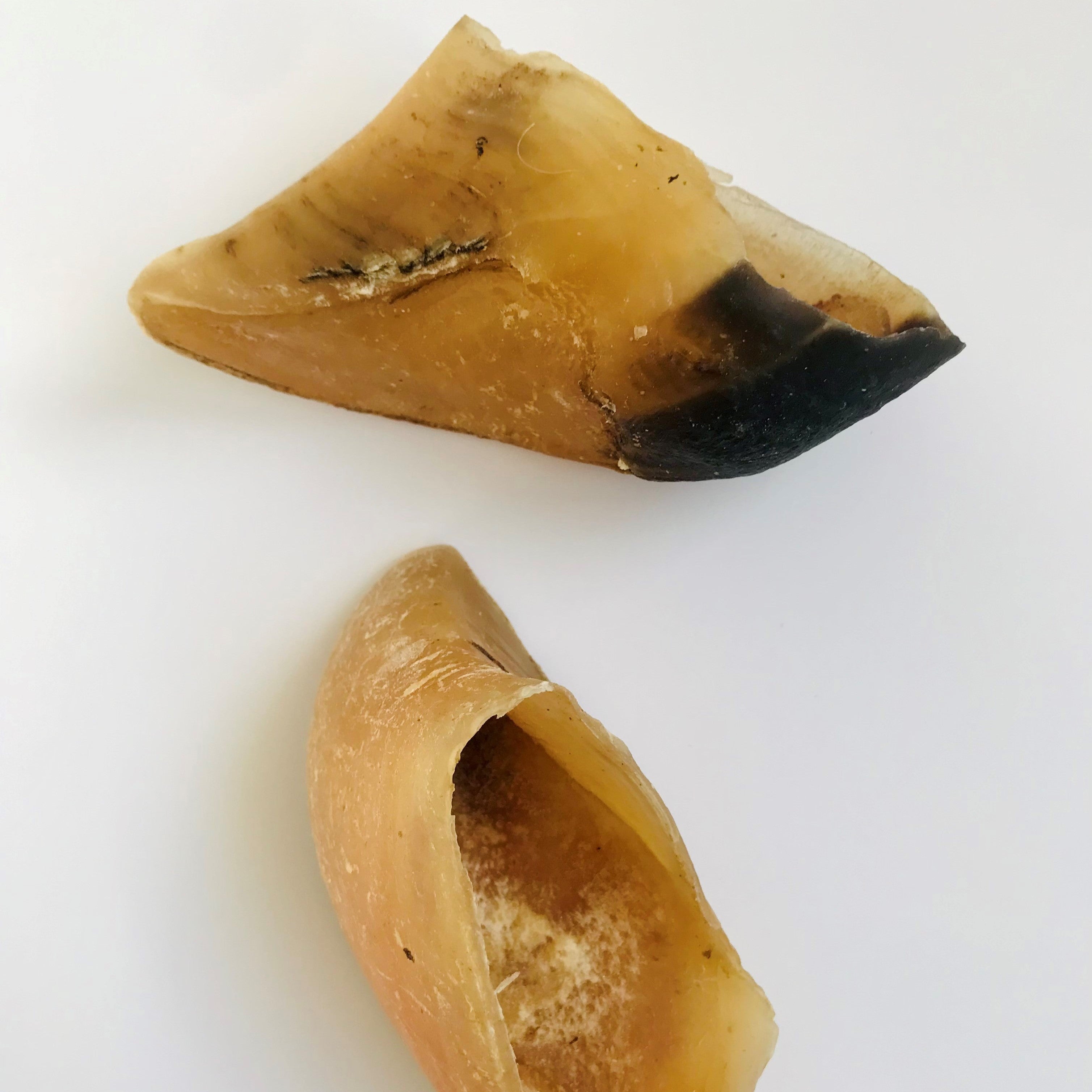 Cow Hoof – Cronch Co