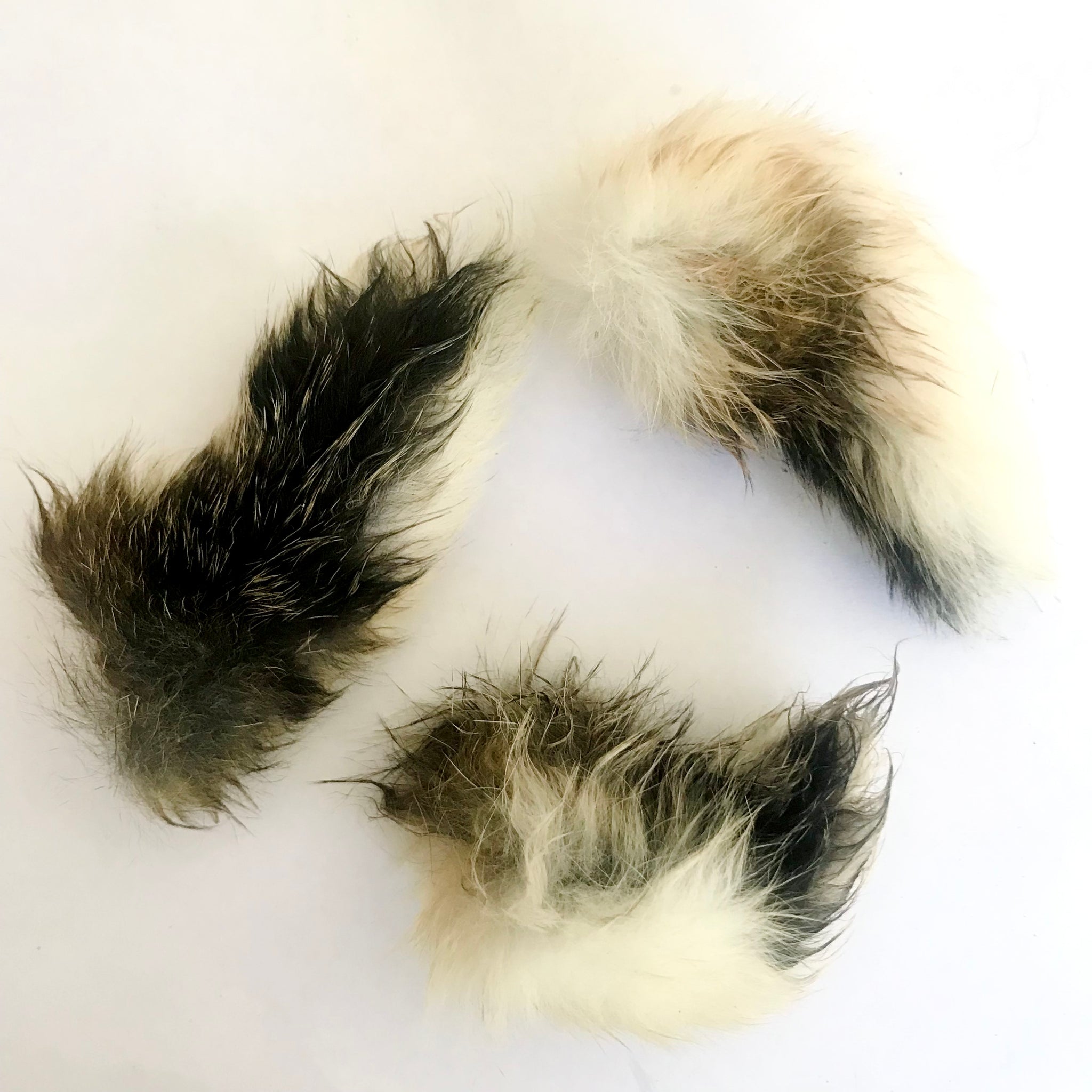 Wild Rabbit Tail – Cronch Co